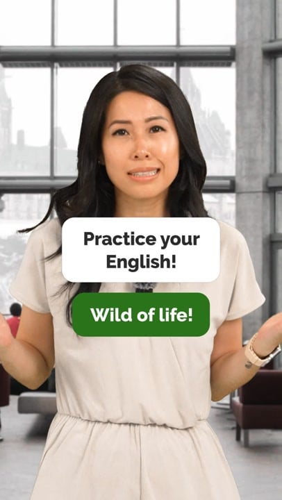 Practice English with Wildlife Conversations