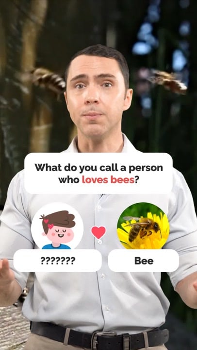 Learn the Different Types of Phile: Insect Enthusiasts Explained